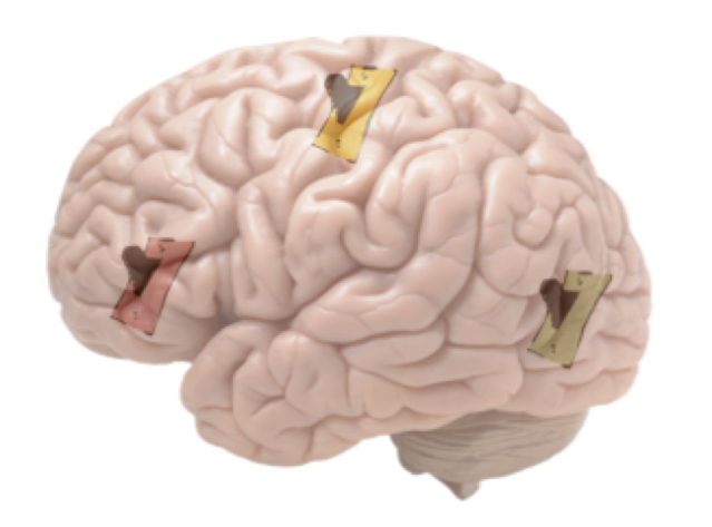 Secret Switches in Your Brain Hold the Keys to Happiness | Psychology Today