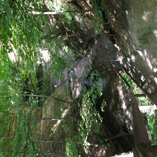 Living a Mindful Life Will Help in This Chaotic World! | Psychology Today