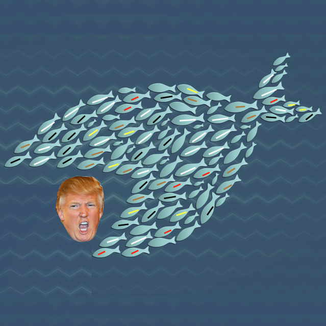 The Predatory Presidency | Psychology Today