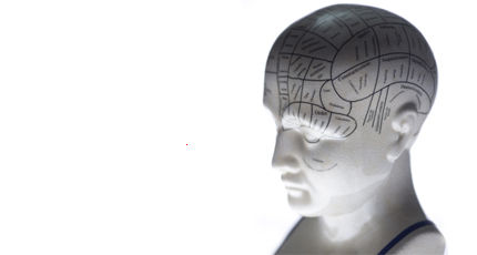 The Genius of Instinct | Psychology Today