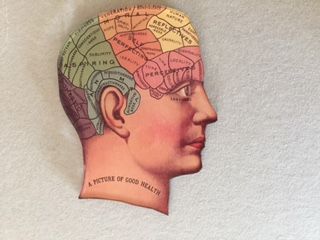 What Helps Our Plastic Brain Turn Into a Blastic Brain? | Psychology Today