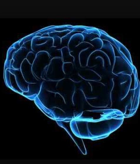 Brain Scan Predicts Best Treatment Approach for Depression | Psychology ...