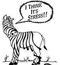 Why Stress Gets to Us, and How to Make It Stop | Psychology Today