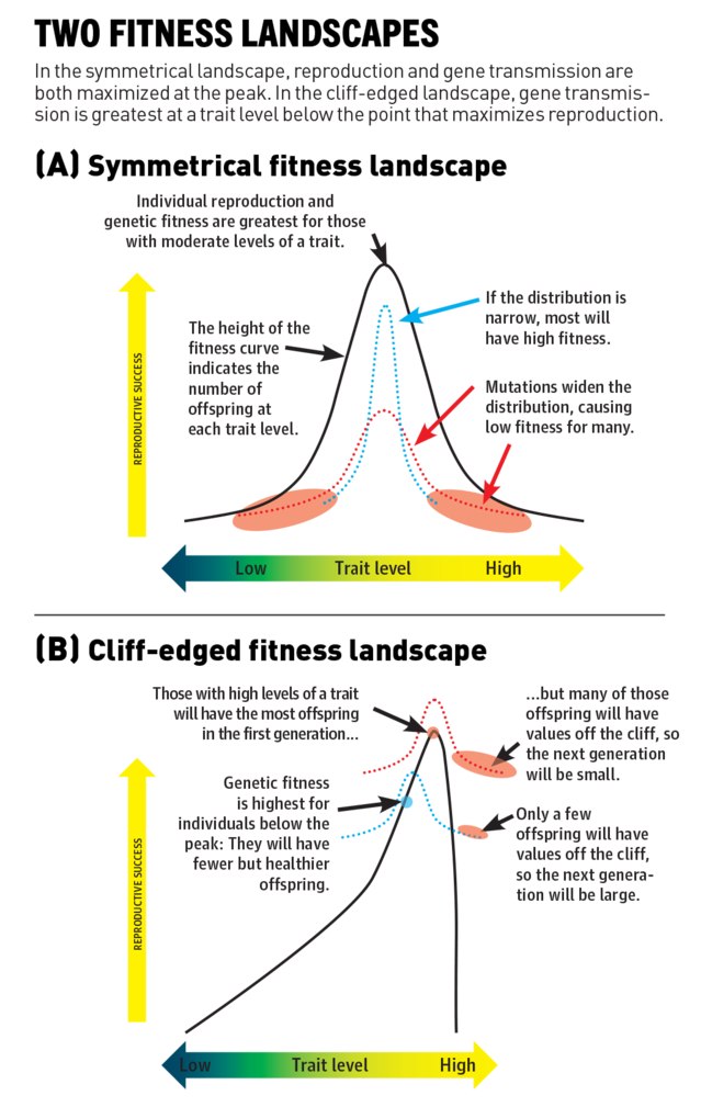 The Puzzle of the Unbalanced Mind | Psychology Today