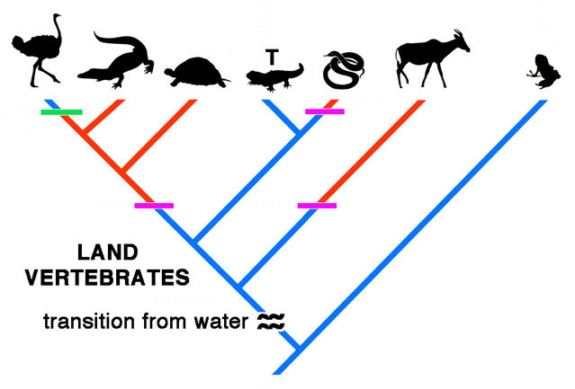 Rites of Circumcision | Psychology Today Australia