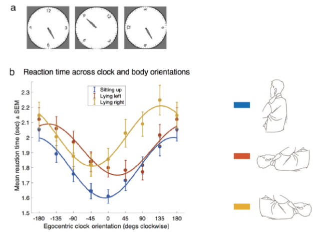 A Skewed Perspective | Psychology Today
