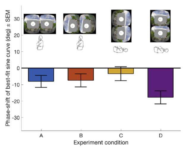 A Skewed Perspective | Psychology Today