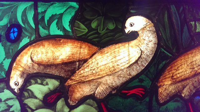 “This Is a Very Bad Idea, Peter… Seriously!” | Psychology Today