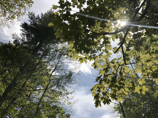 More Americans Are Alarmed at the Climate Crisis | Psychology Today