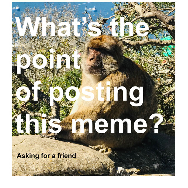 Why Are You Sharing That Meme? | Psychology Today