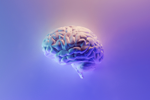 A Brain Changer: How Stress Shapes Cognition and Memory | Psychology Today