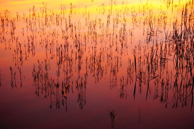 Connecting Earth and Sky: Bringing Nature Inside You | Psychology Today