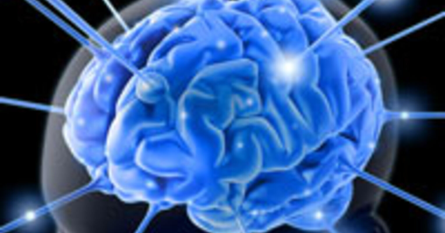 Dysfunctional Processing in the Fibromyalgia Brain—Oh, Really ...