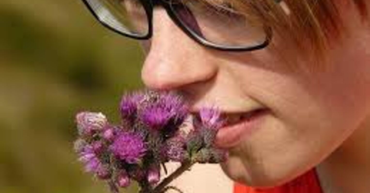 Smells Ring Bells: How Smell Triggers Memories and Emotions ...