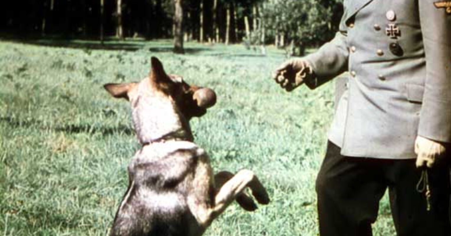The School to Teach Nazi War Dogs to Speak | Psychology Today