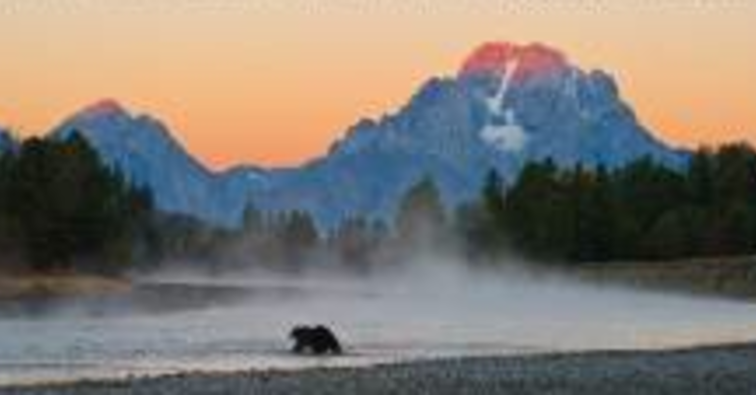 The Last Great Wild Places: Rewilding Through Photographs | Psychology ...