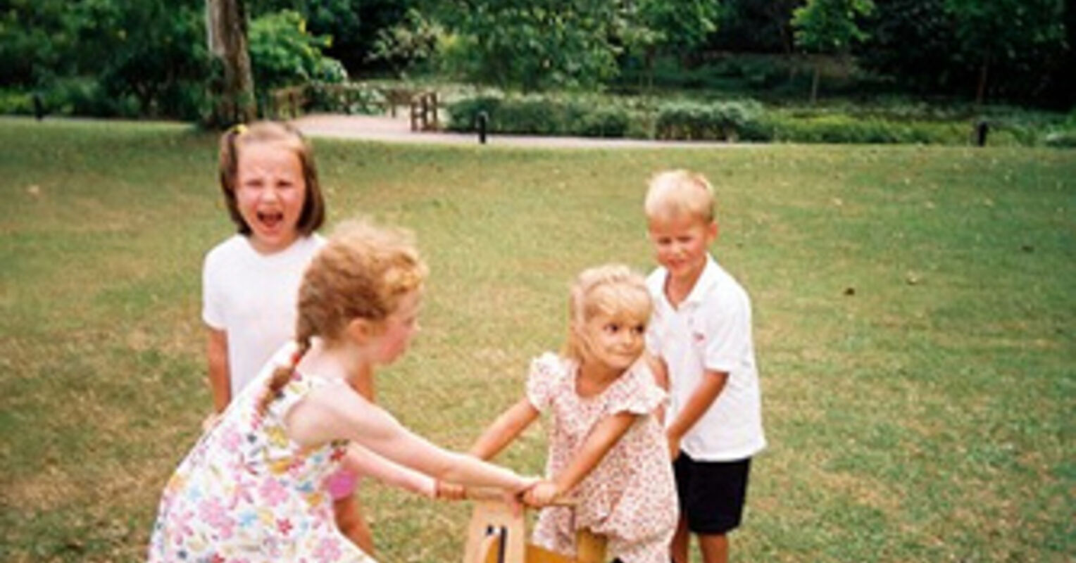 3 Steps that Transform Sibling Conflict into Sibling Camaraderie ...