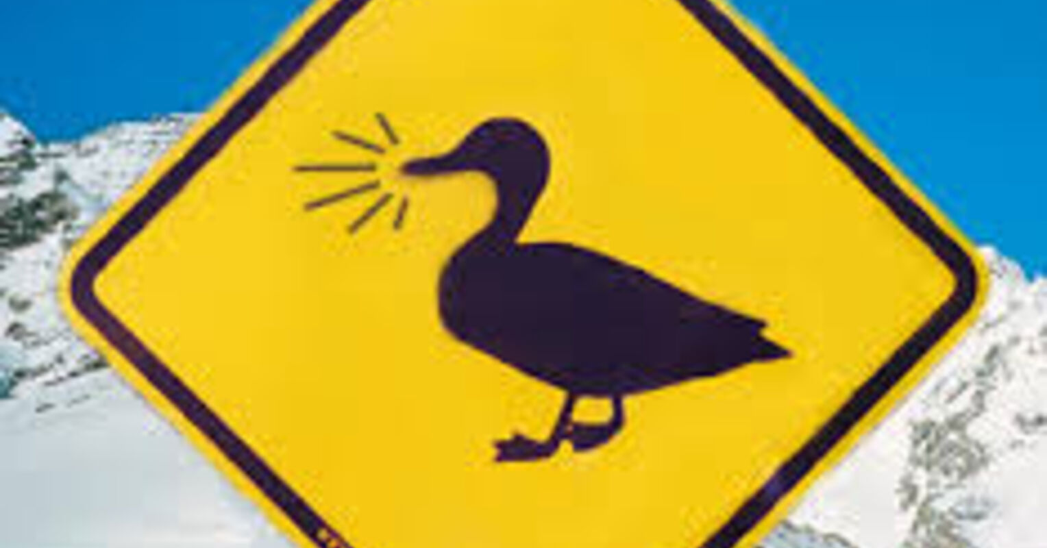 Is Quackery Okay? | Psychology Today UK