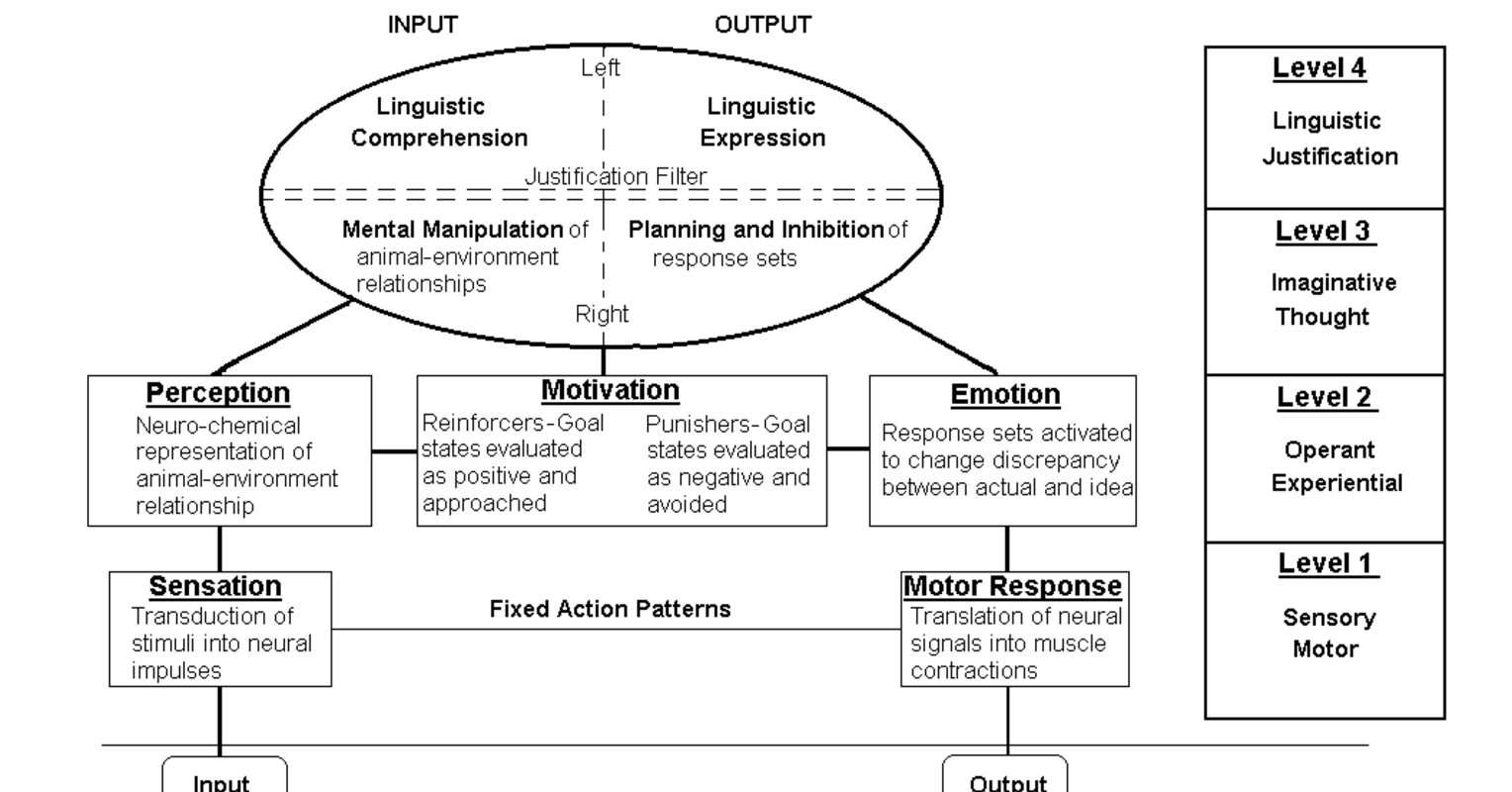 The Four Levels of Pain | Psychology Today Australia