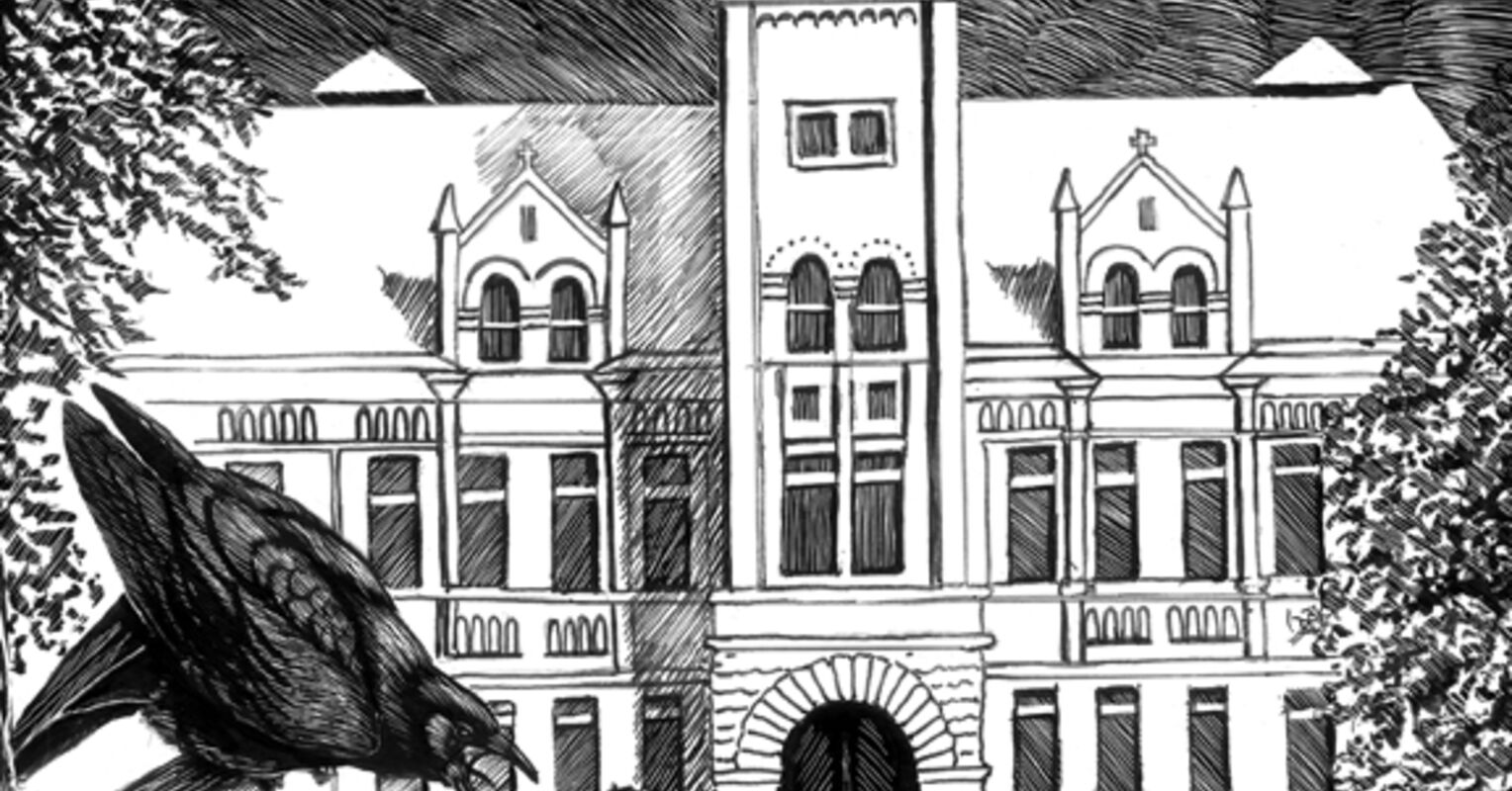 The Alluring Language of Crows and Ravens | Psychology Today