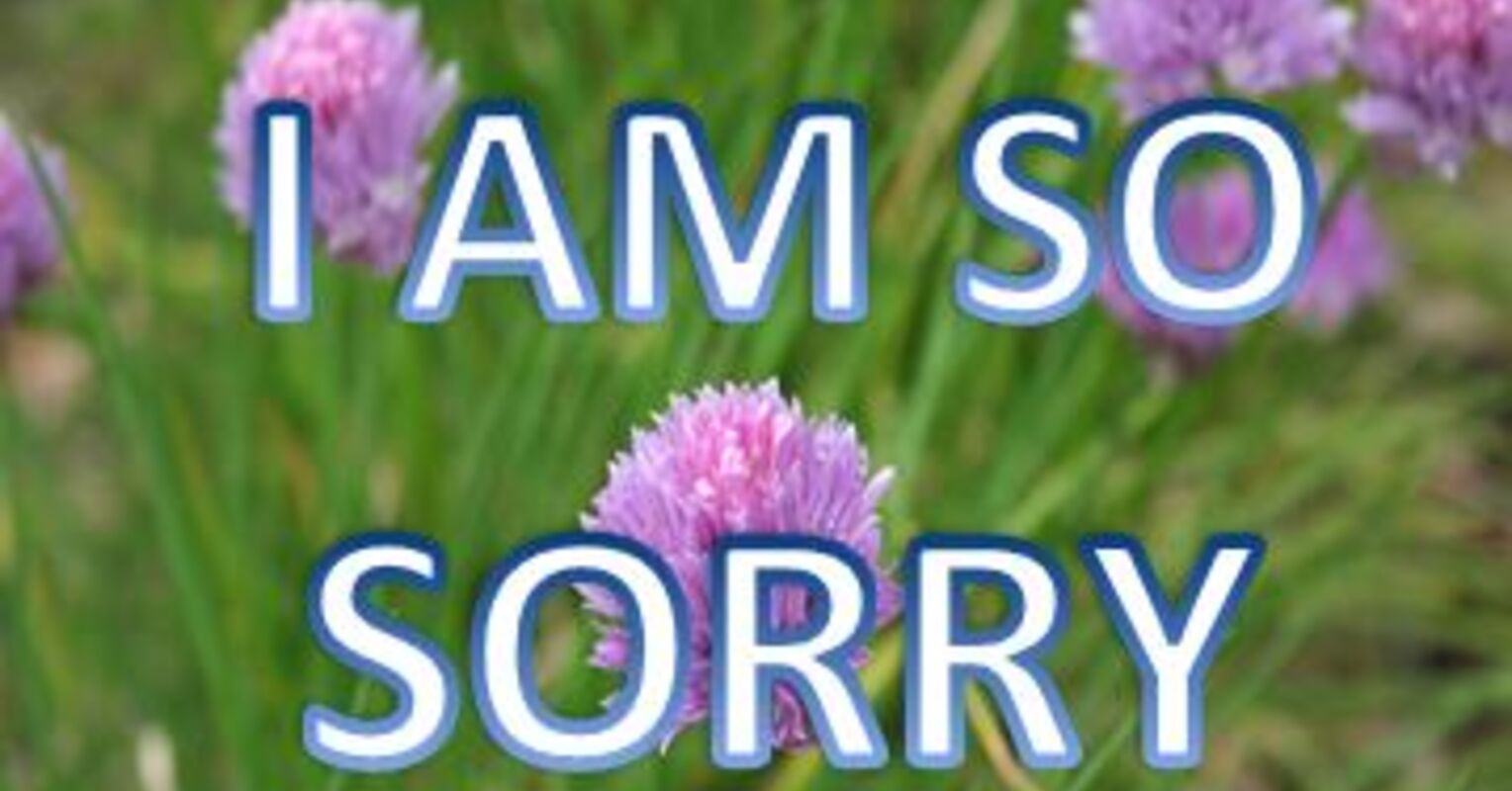 When We Don’t Apologize | Psychology Today UK