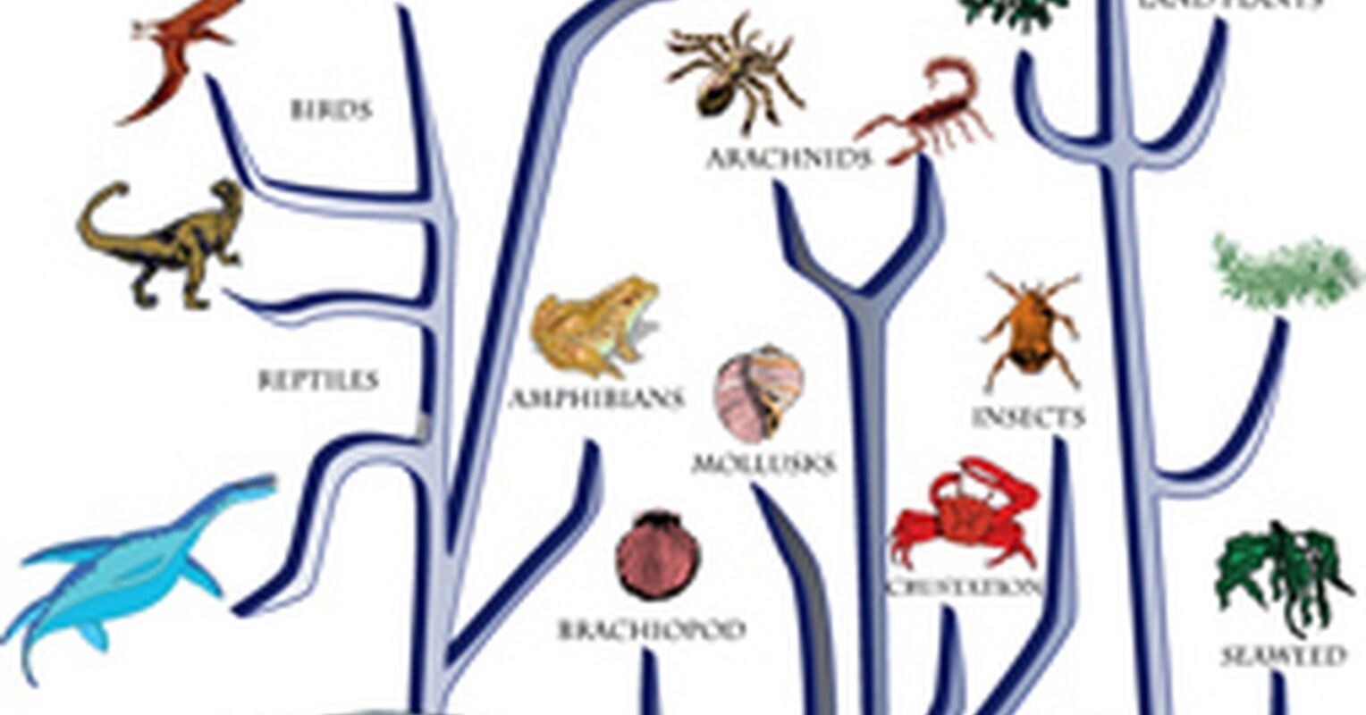 How Likely Is the Emergence of Intelligent Life? | Psychology Today Canada