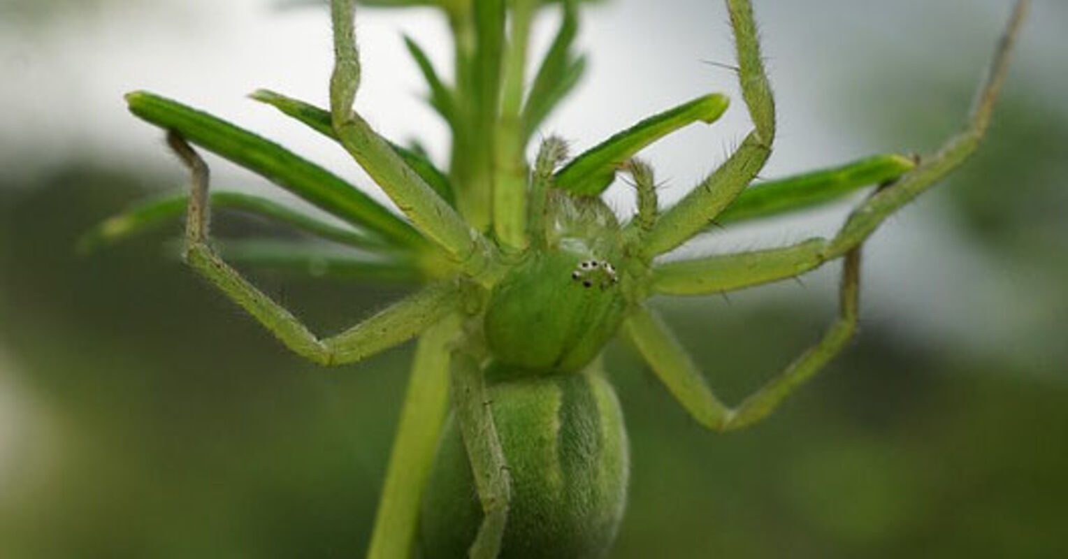 Identifying the Covert Narcissist in Your Life: A Checklist ...