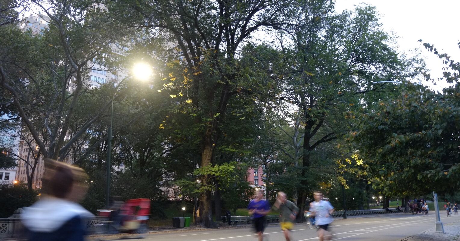 Running, Writing, and Deep Play | Psychology Today Australia