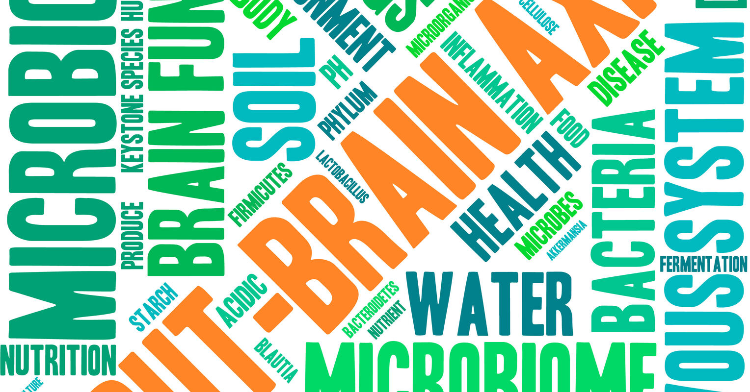 Gut Microbiota May Influence Mood and Behavior, Study Finds ...