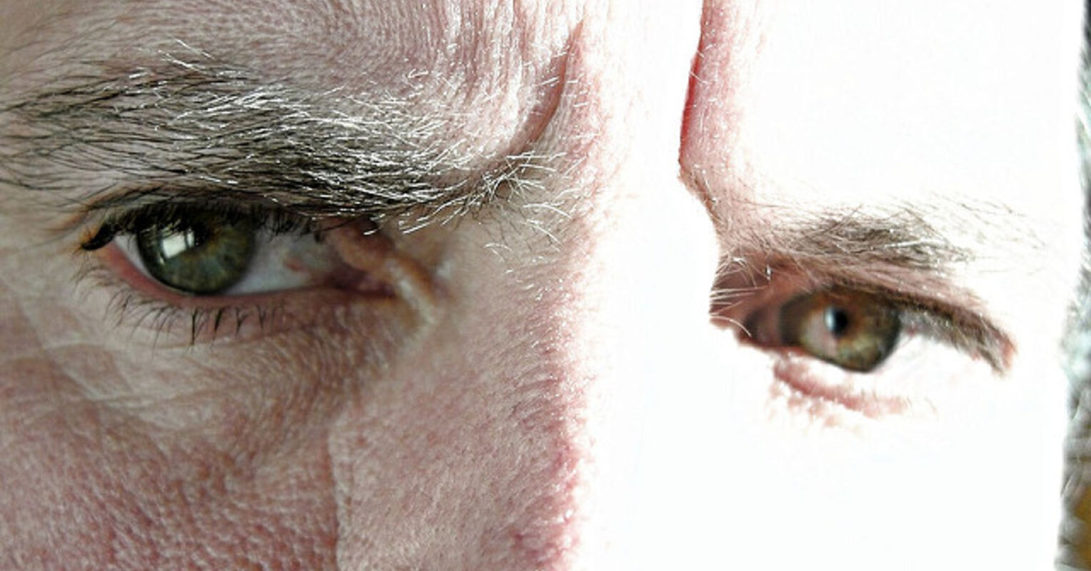 Stern | Psychology Today