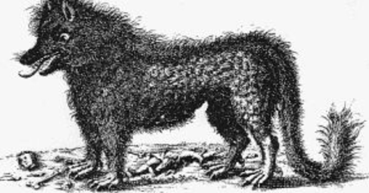 The Monsters That Make Us: Things That Go Bump in the Mind | Psychology ...