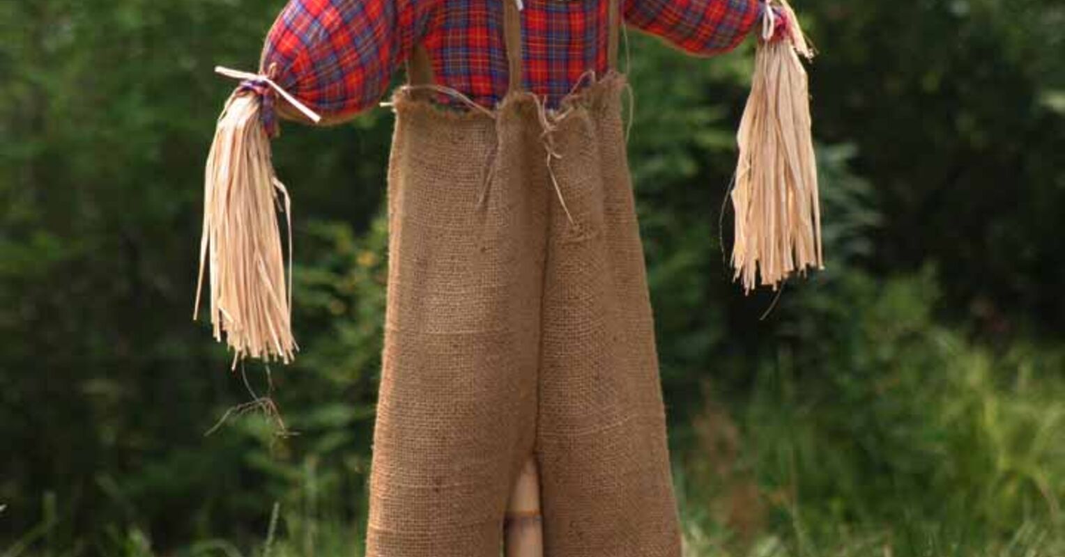 Protect Yourself From Verbal Sleight of Hand | Psychology Today