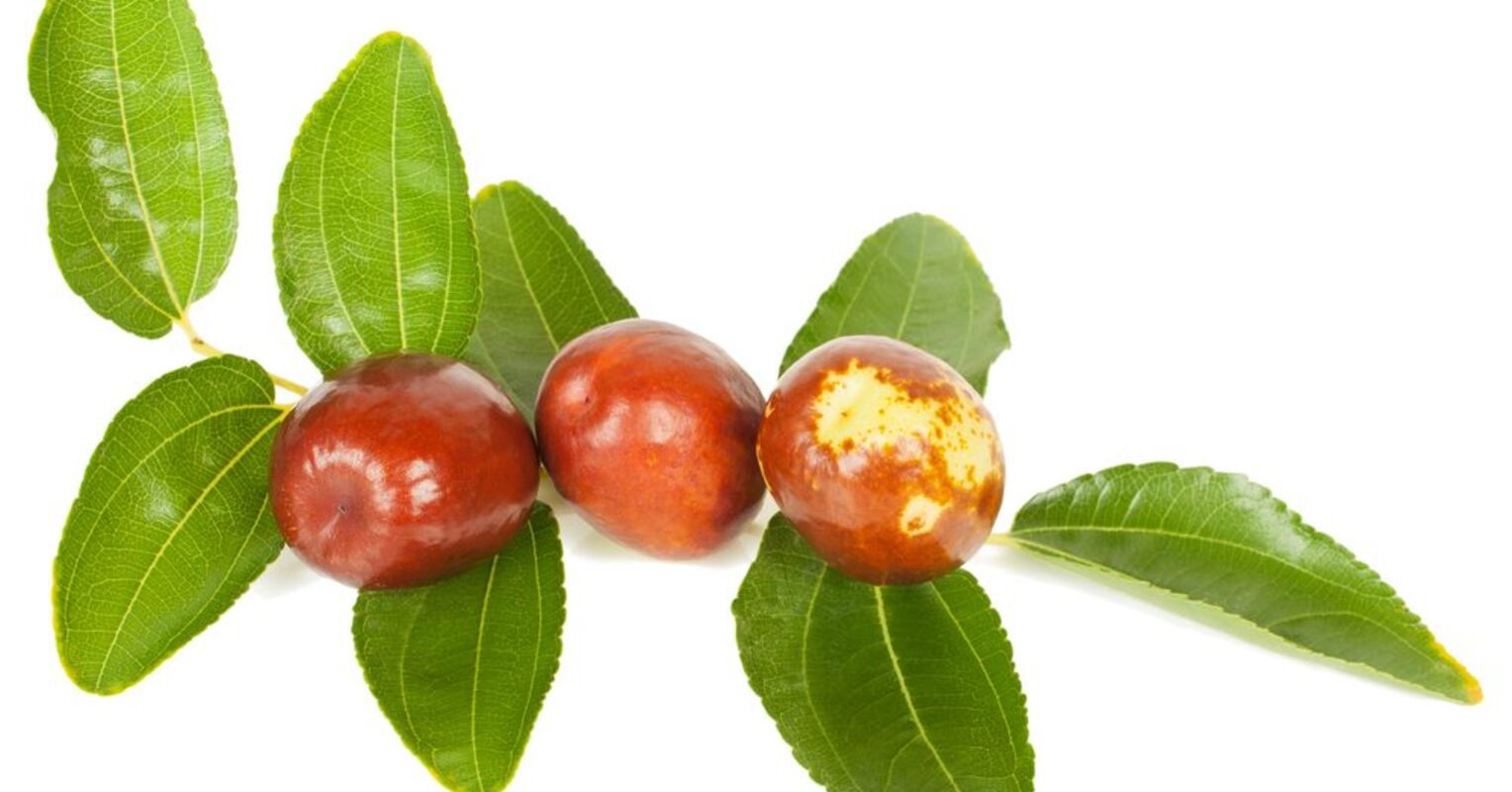 How Jujube Can Improve Your Sleep and Health | Psychology Today South ...