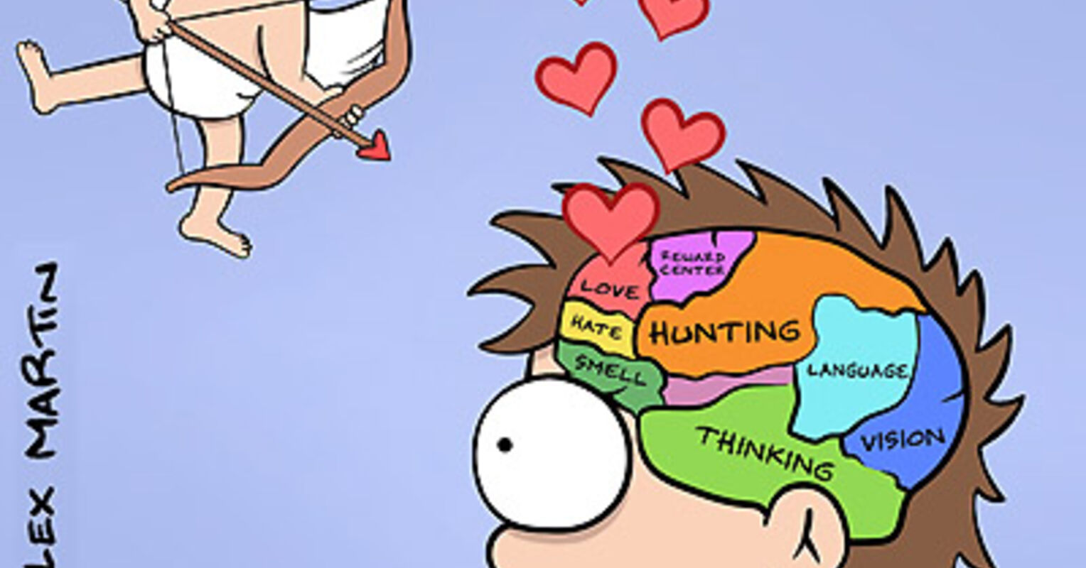 Romantic Love's Biological Foundations | Psychology Today Canada