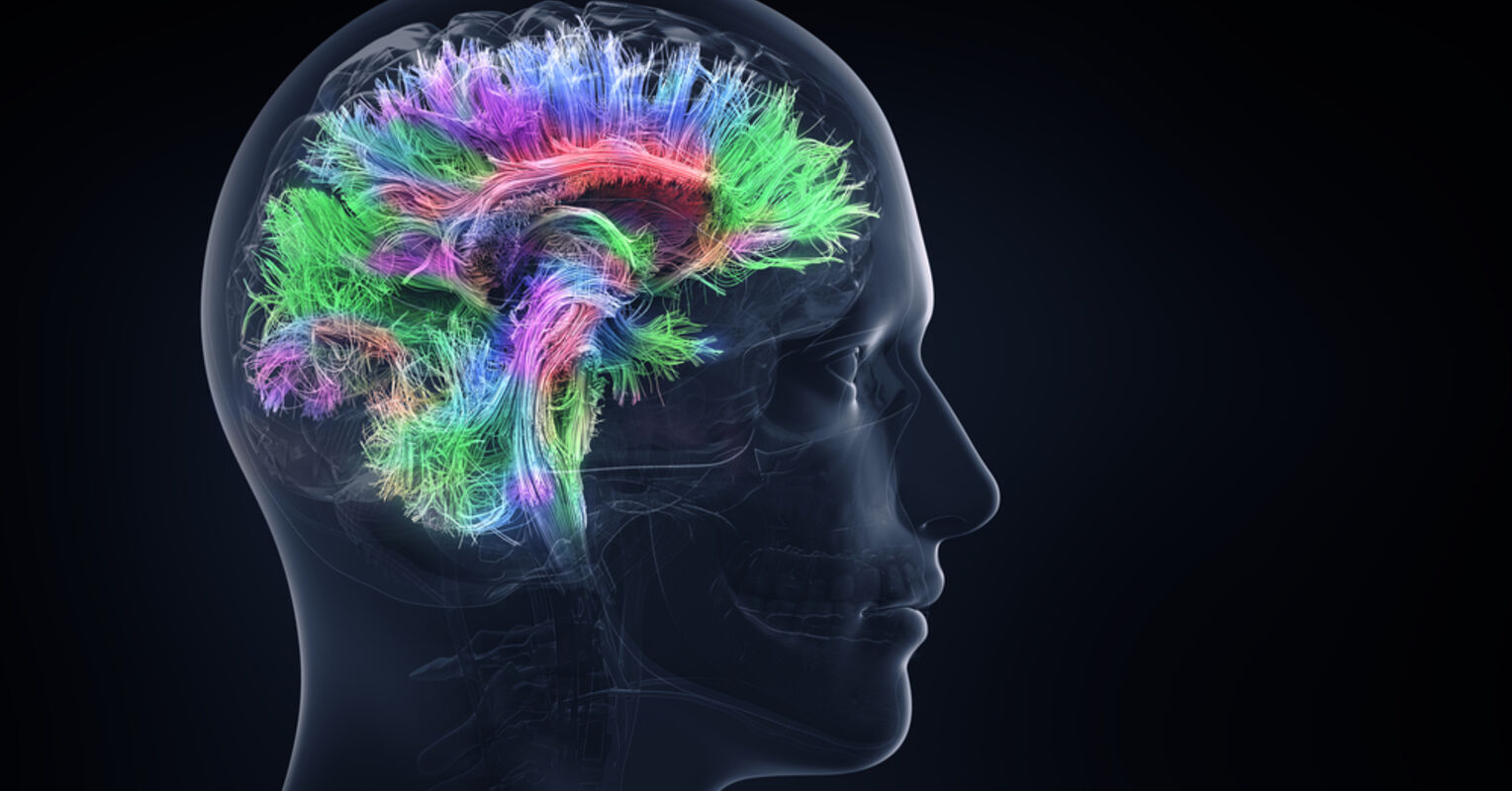 Intelligence Is a Whole-Brain Phenomenon | Psychology Today