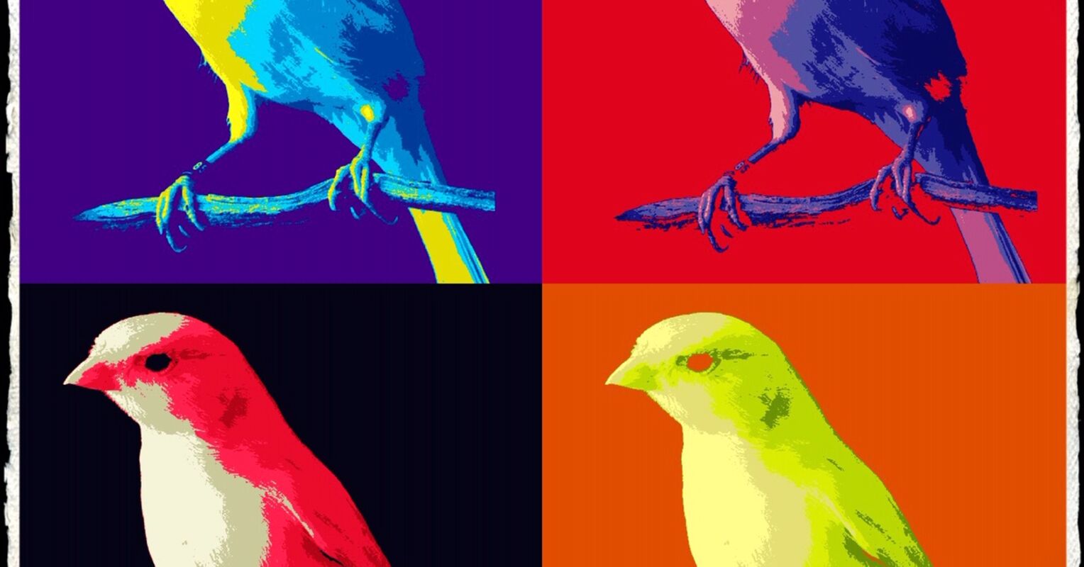 We Are the Canaries in the Mental Health Mineshaft | Psychology Today