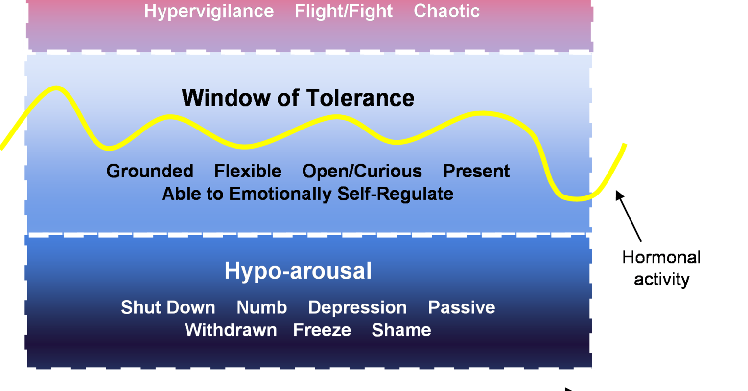 Expanding the "Window of Tolerance" | Psychology Today Ireland