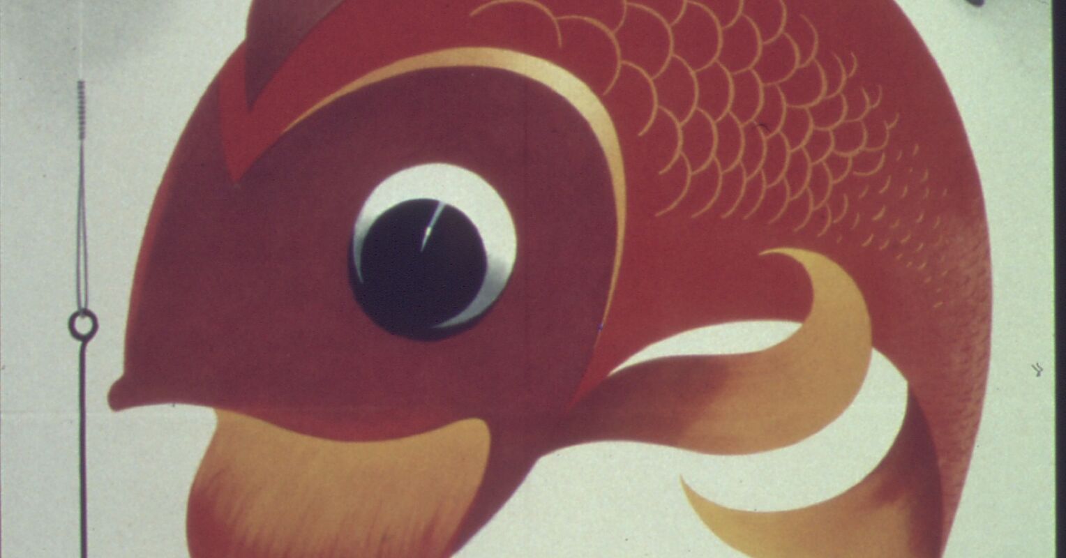 How to Avoid Being Suckered Again | Psychology Today Canada