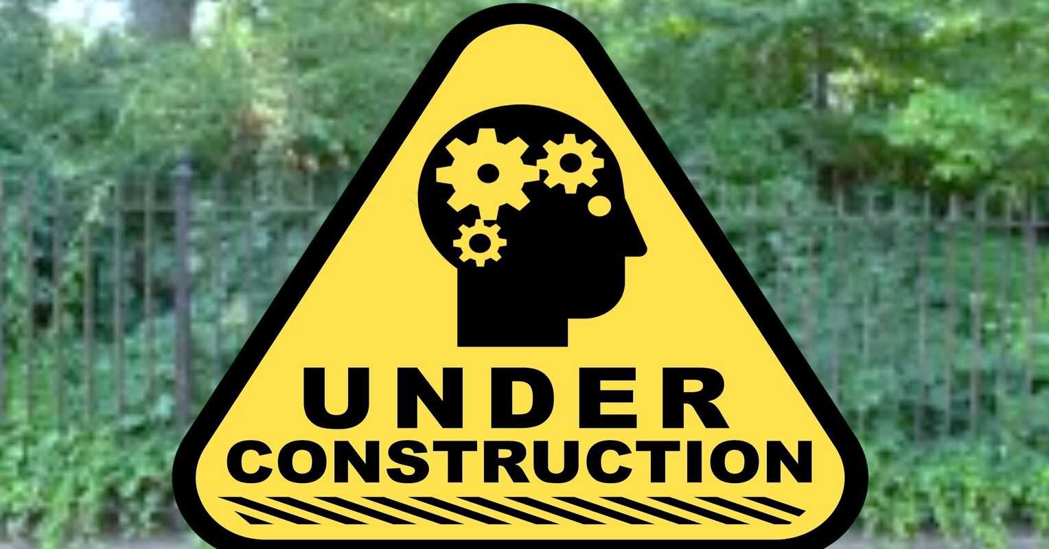 The Self-Made Human Brain | Psychology Today