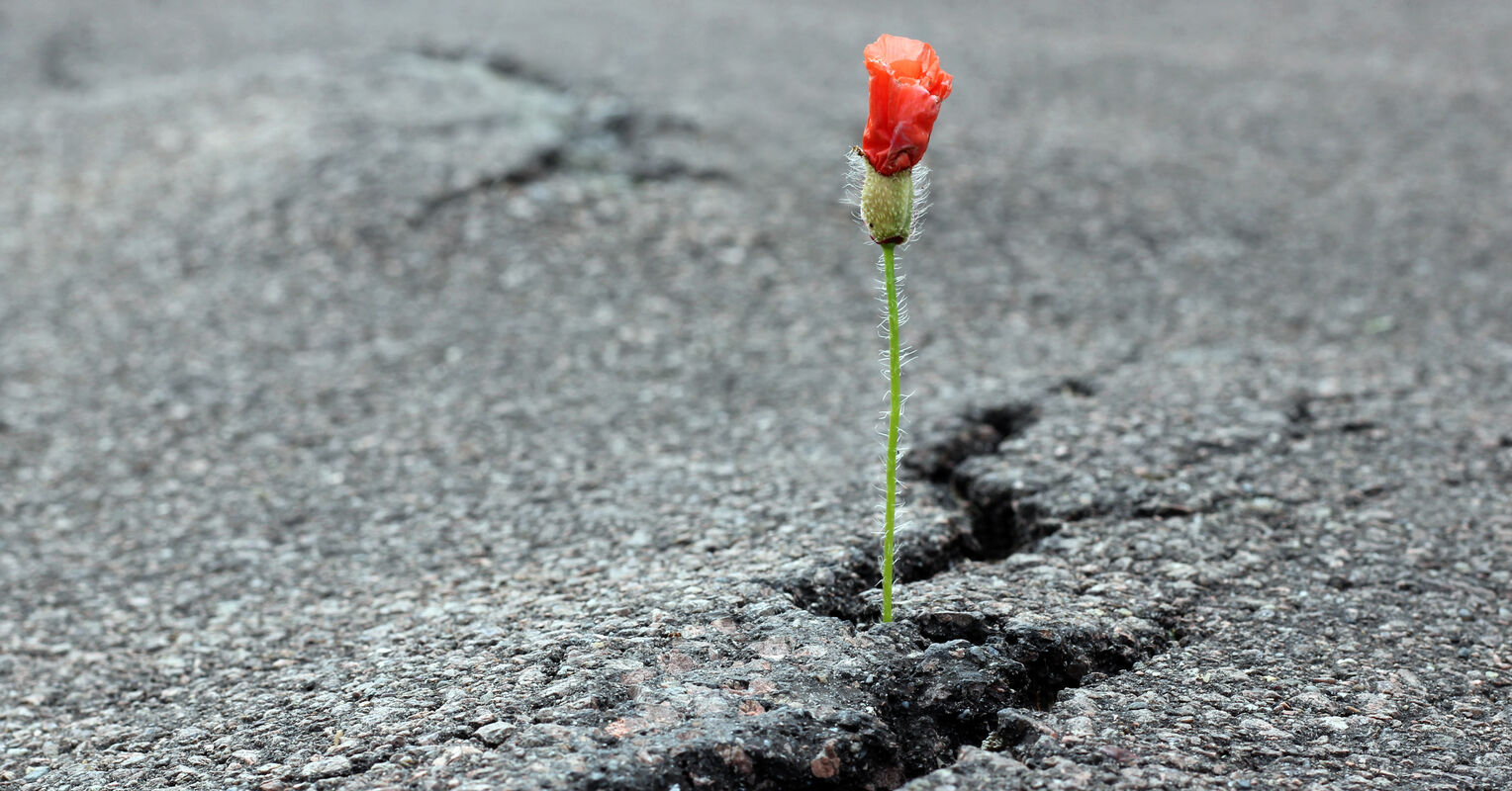 Finding Hope in 2021 | Psychology Today