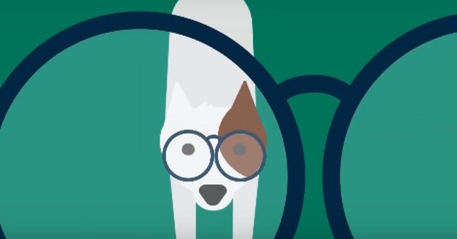 Put on Your Solutionary Glasses | Psychology Today