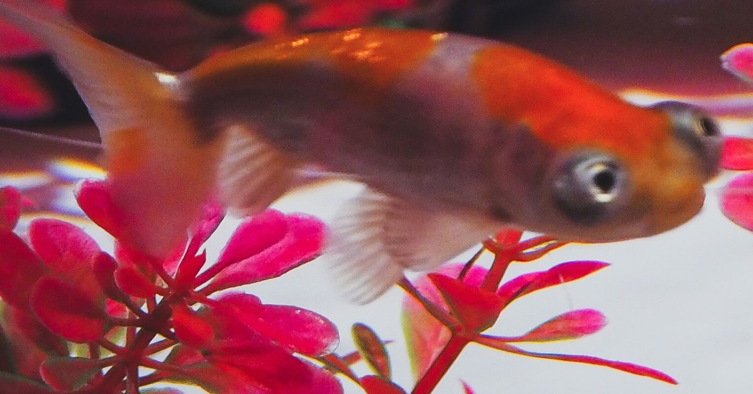 Match, Spark, and Fan | Psychology Today Canada