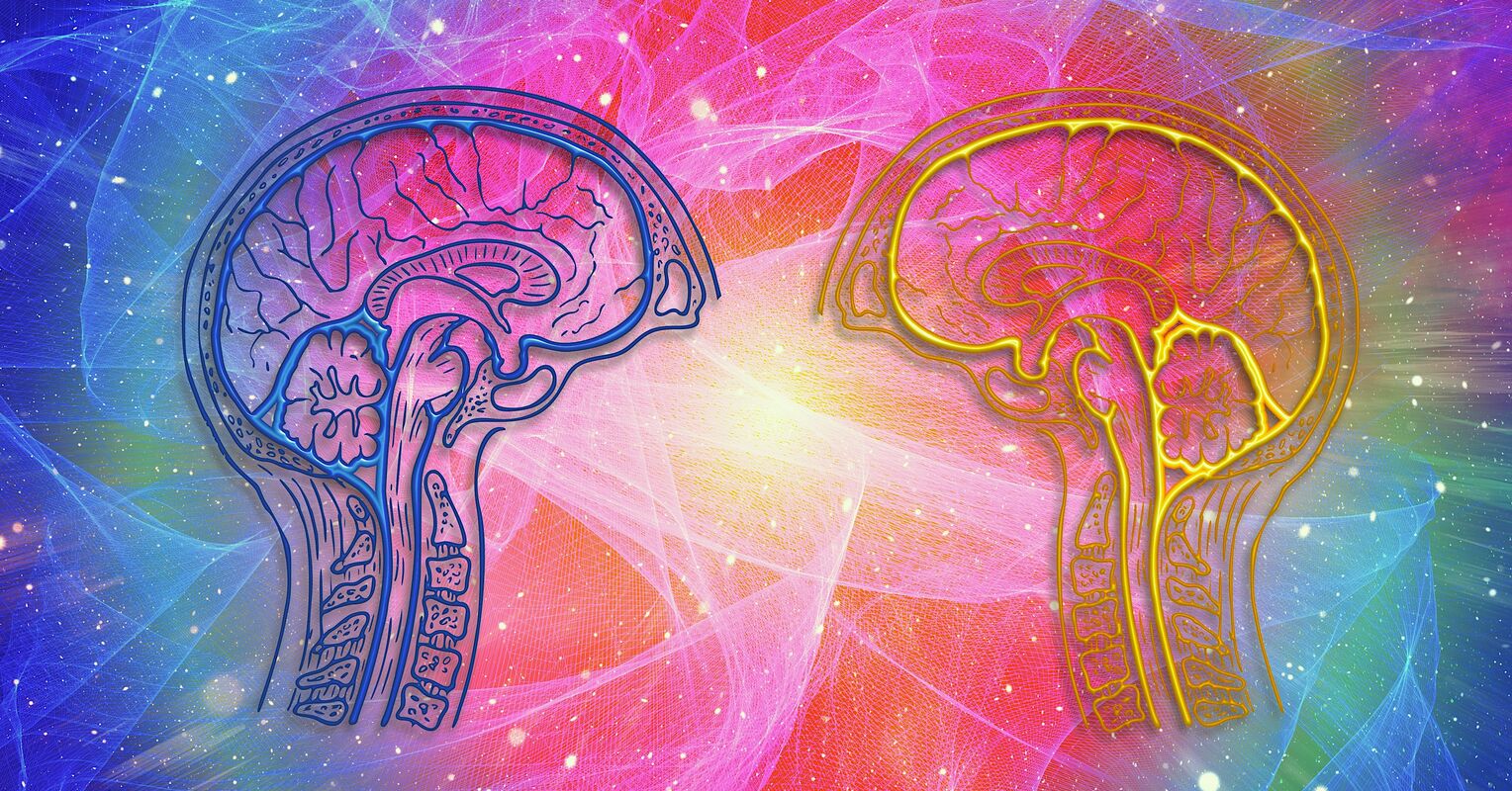 What Psychedelics Teach Us About Love in Psychotherapy | Psychology Today