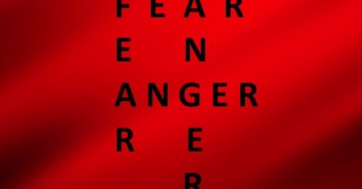 Fear and Anger: Similarities, Differences, and Interaction | Psychology ...