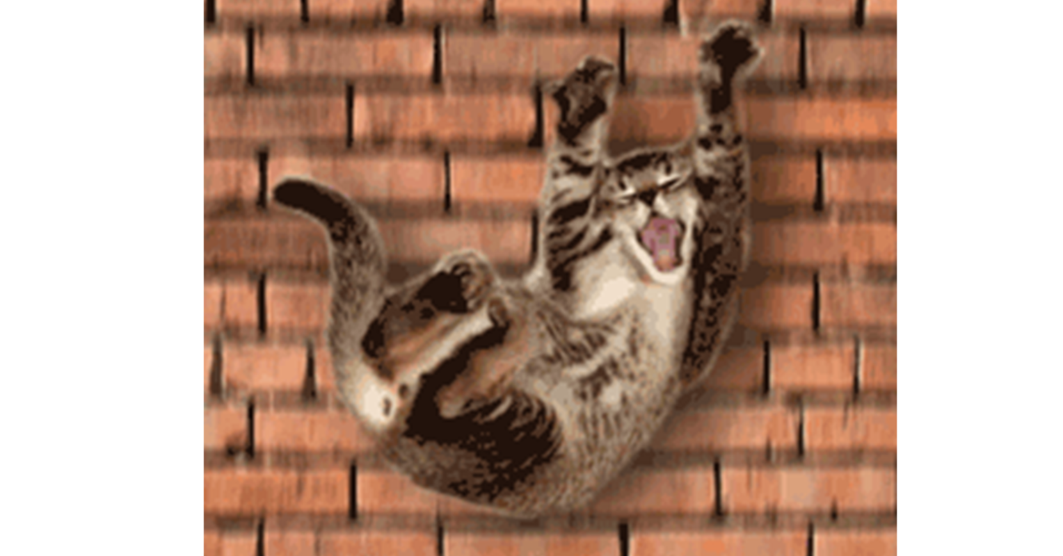 Understanding Behavior via the ToK System | Psychology Today Ireland