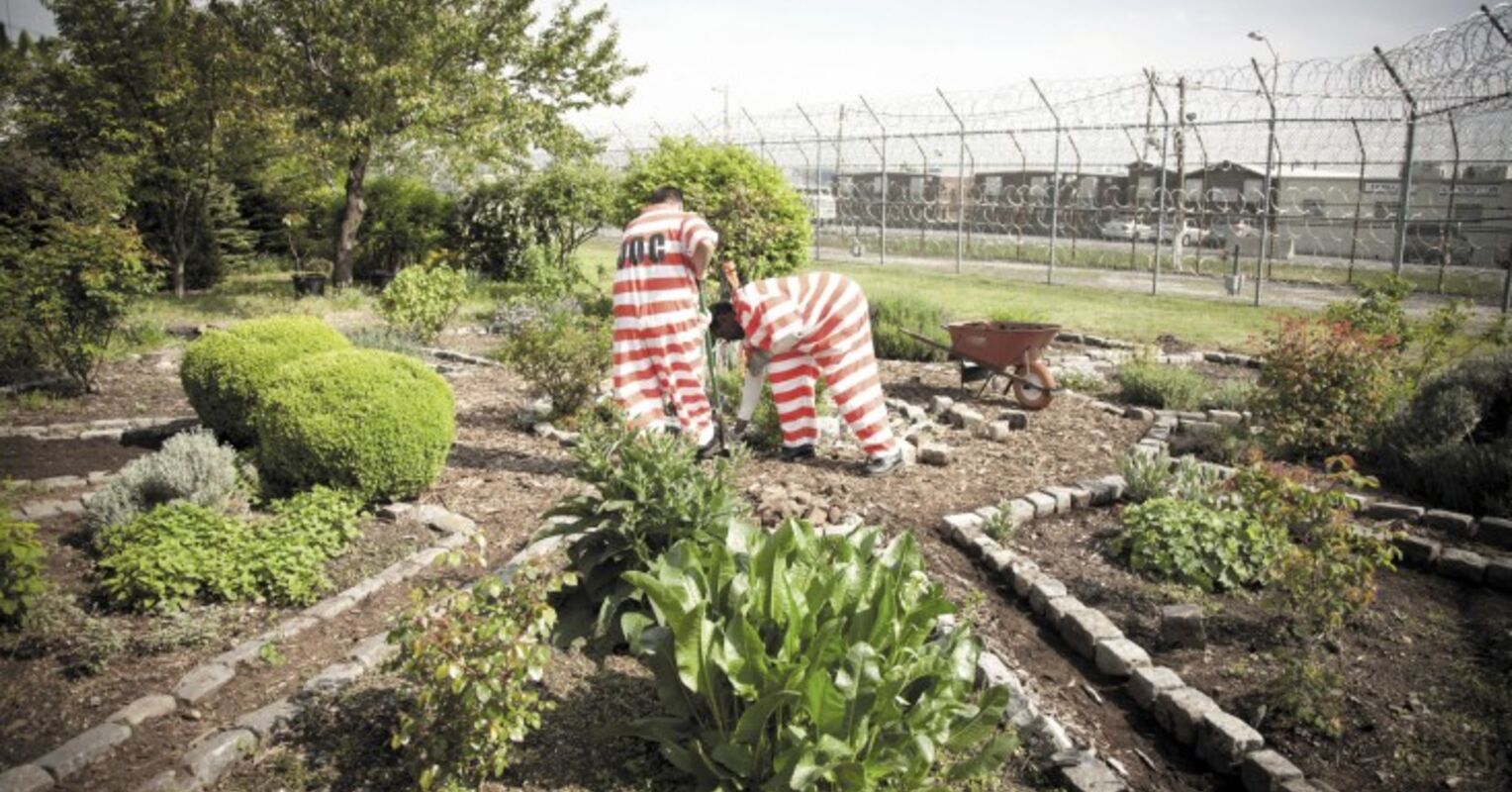 The Rise of Green Prison Programs | Psychology Today