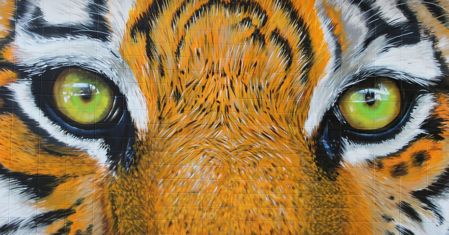 When Tiger Leaps | Psychology Today