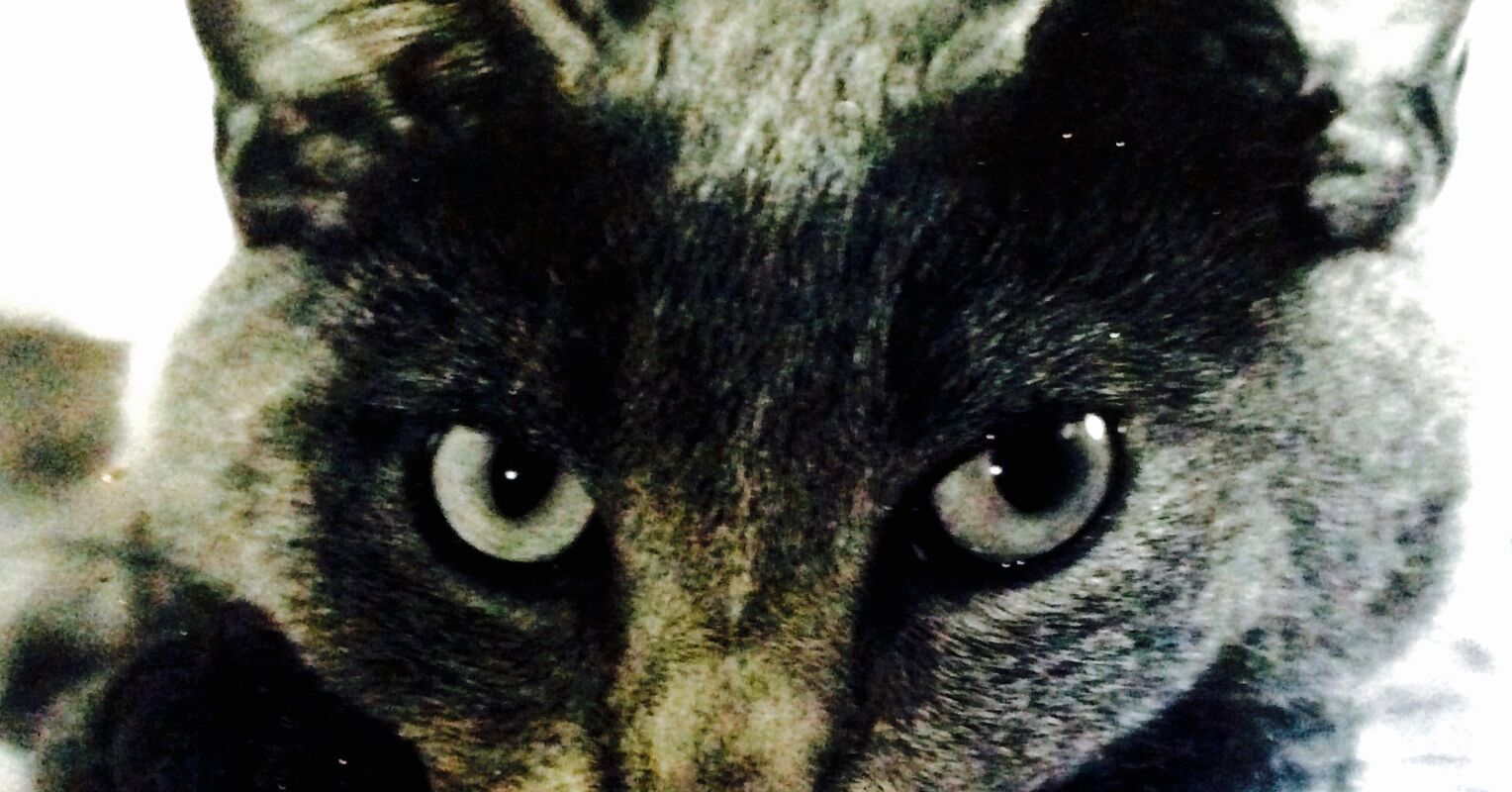 Pre-Traumatic Stress Disorder | Psychology Today UK