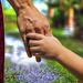 Parenting | Psychology Today